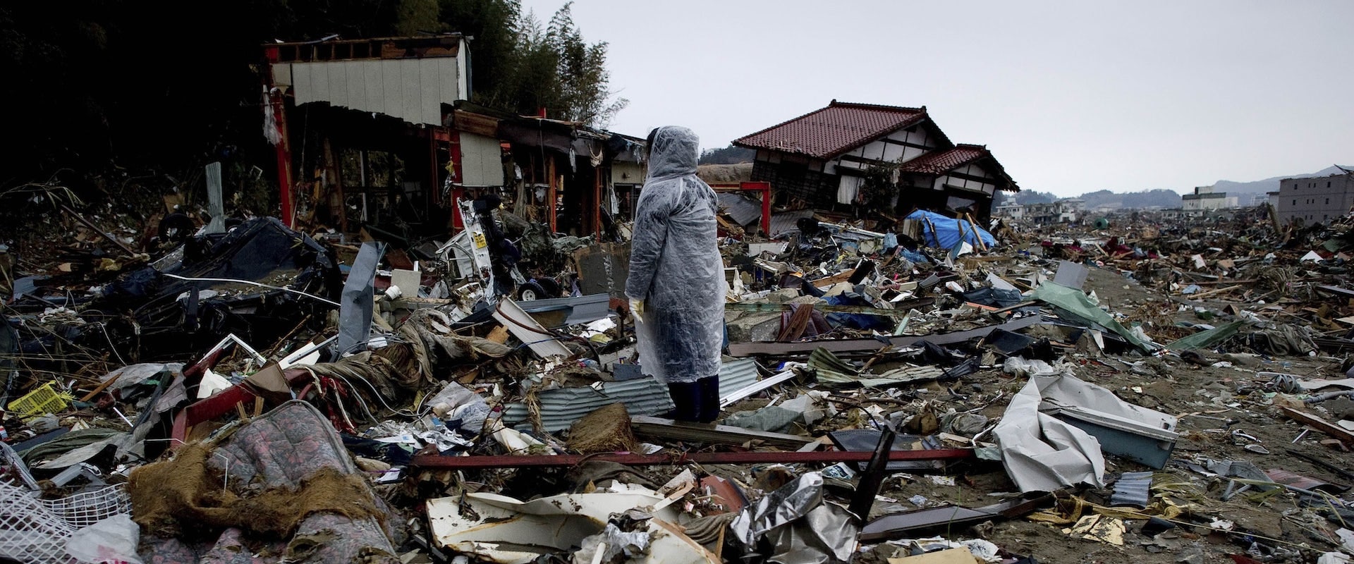 Are there any support services available for survivors of natural ...